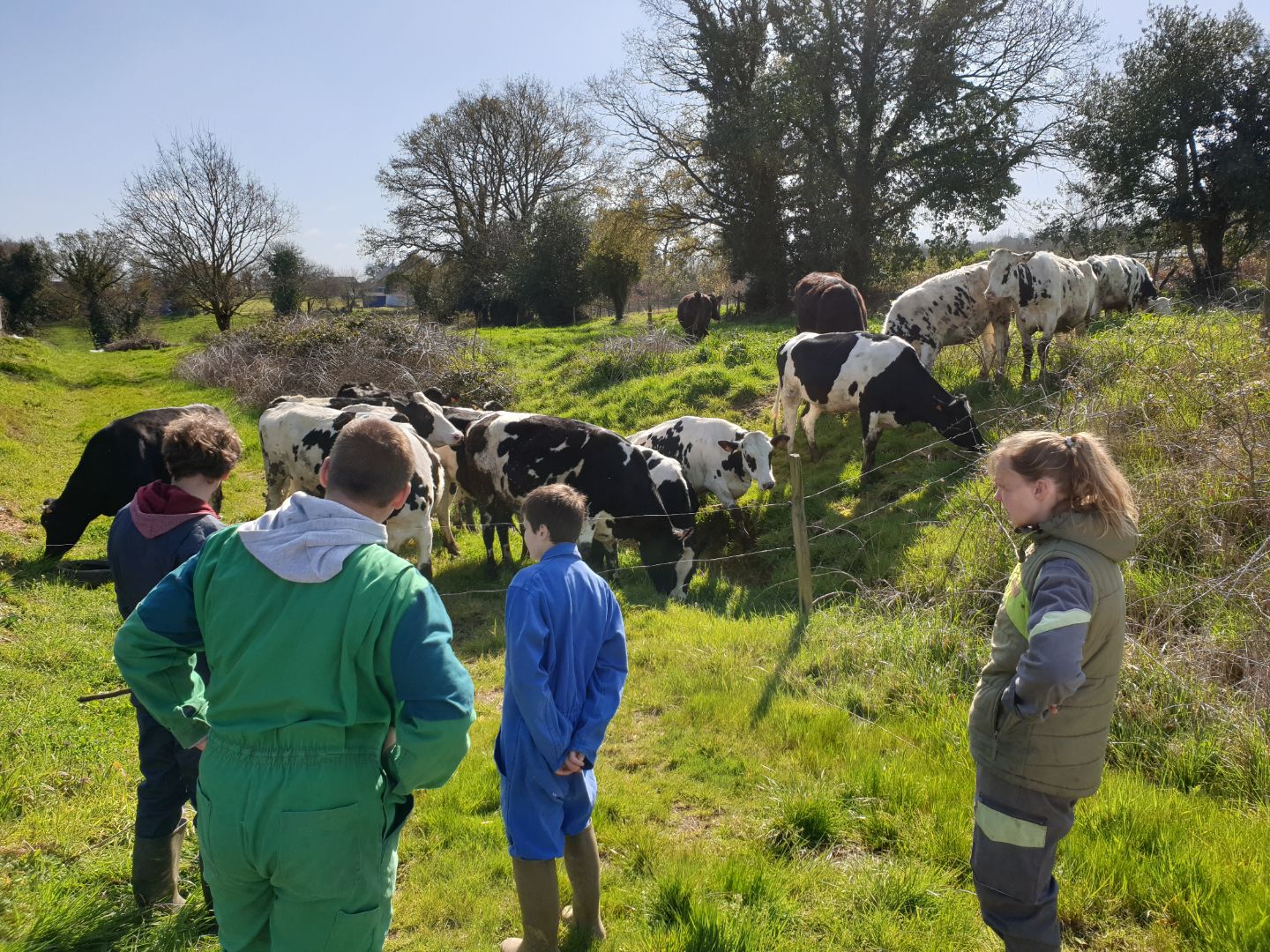 mfr_questembert_tp_ferme_4eme-6 - MFR de Questembert